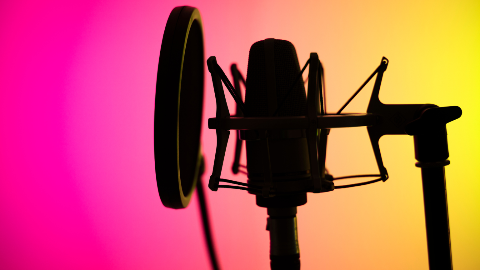 Deine Stimme, dein Reel: So fügst du Voiceover auf Instagram hinzu - Reelmotion